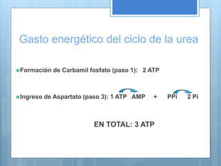 Ciclo de la Urea - Bioquímica metabólica | PPTX