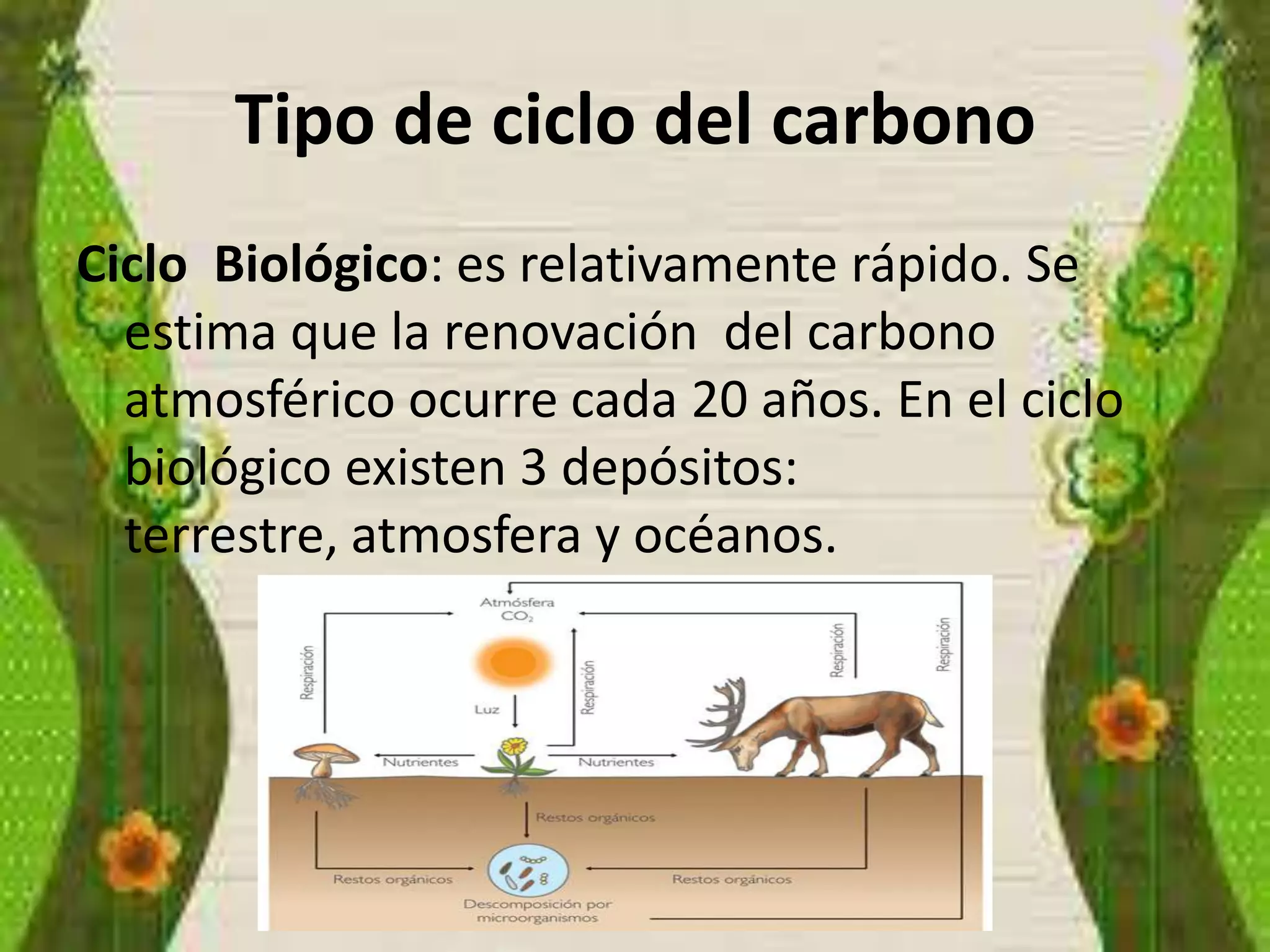 Ciclo del carbono | PPT