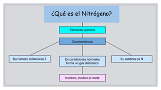 ciclo del nitrogeno.pptx