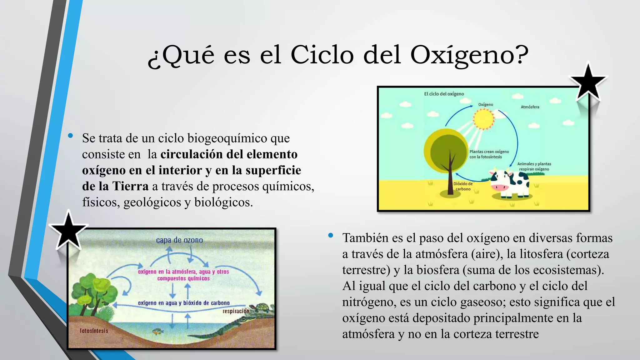 Ciclo de oxigeno por Cynthia Escola | PPT
