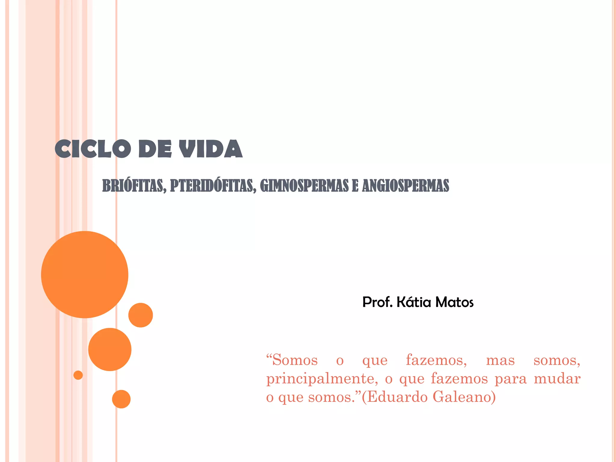 Ciclo de vida | PPT