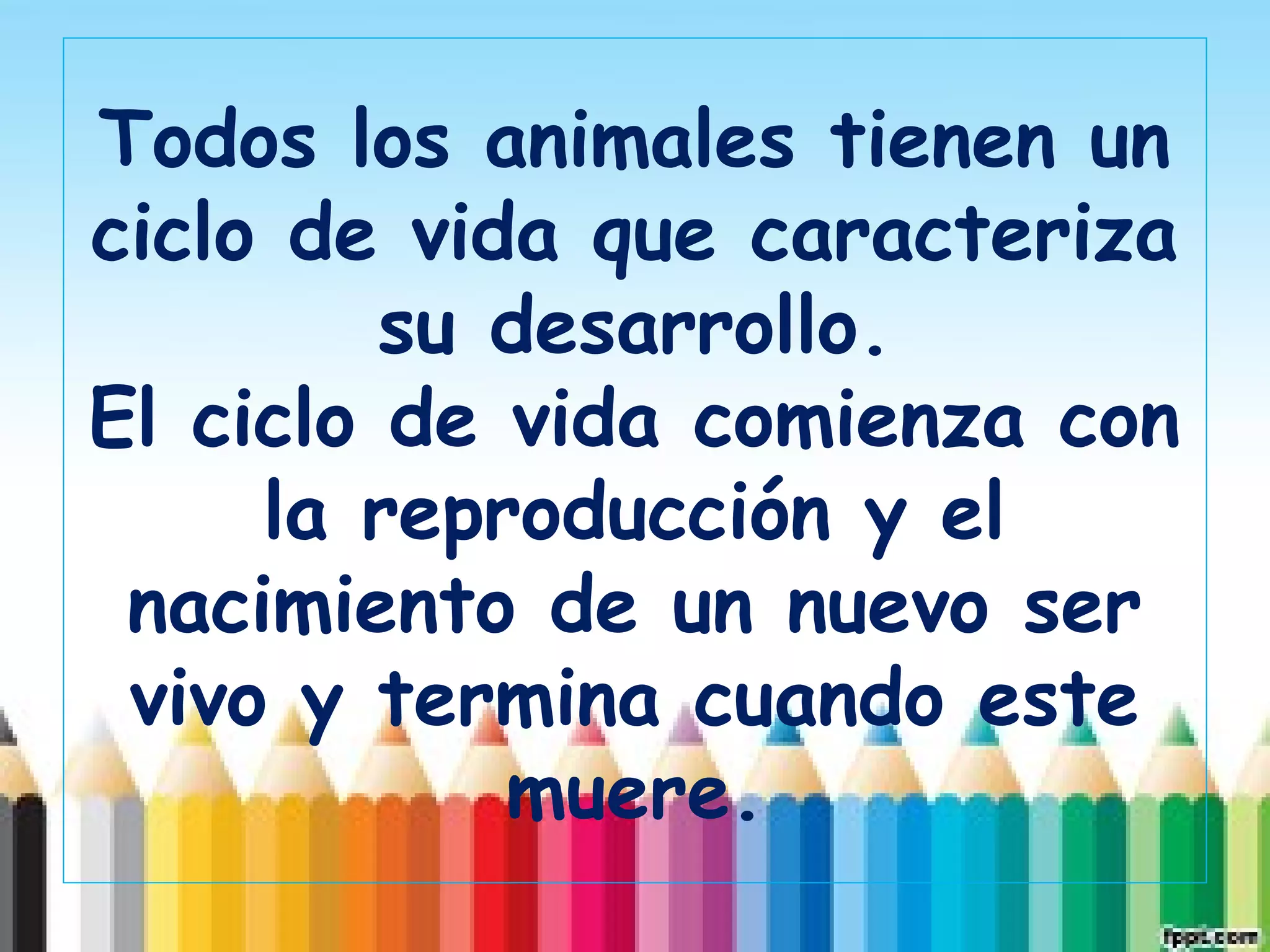 Ciclo de vida | PPT