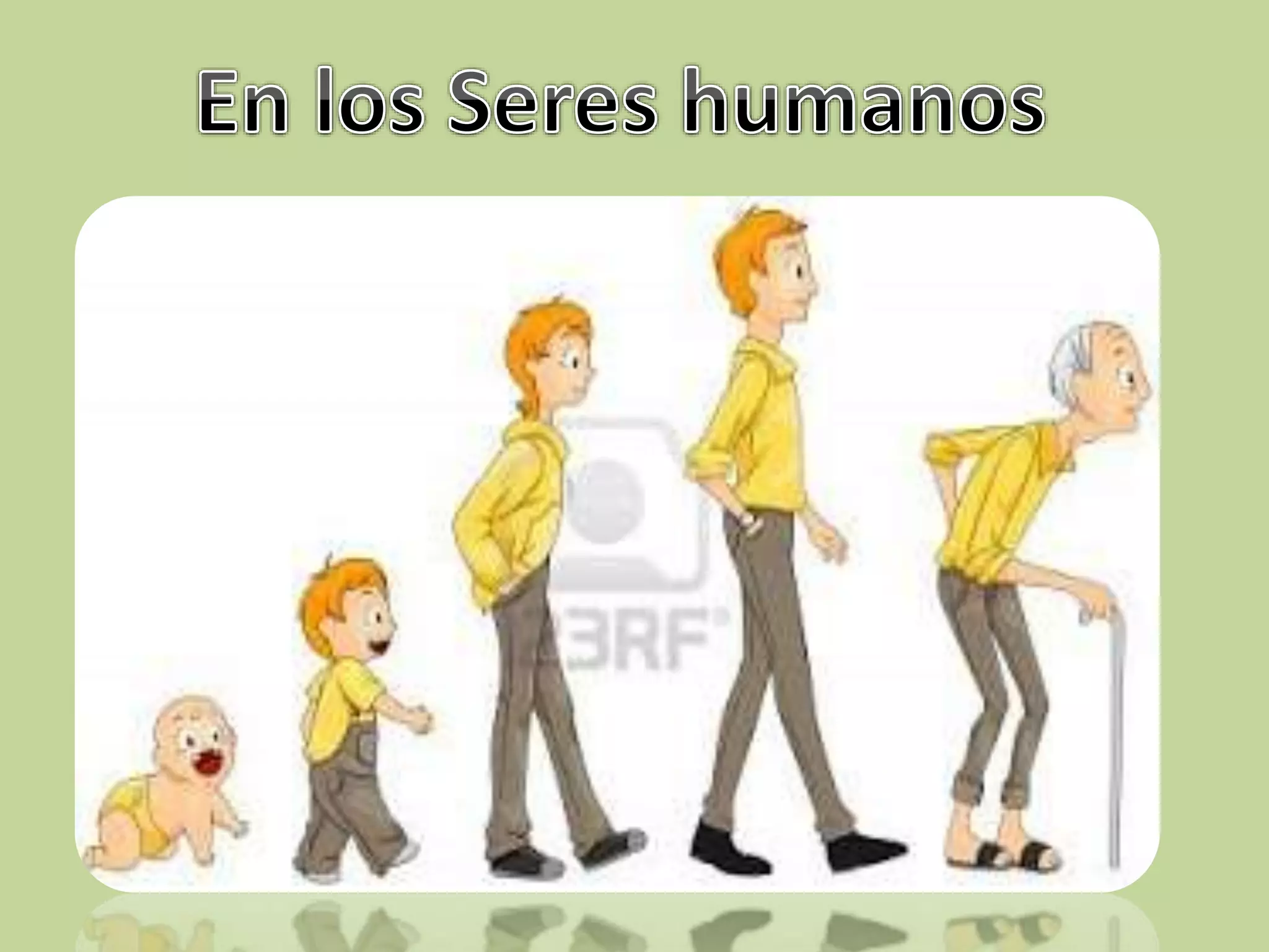 Ciclo de vida de los seres vivos | PPTX