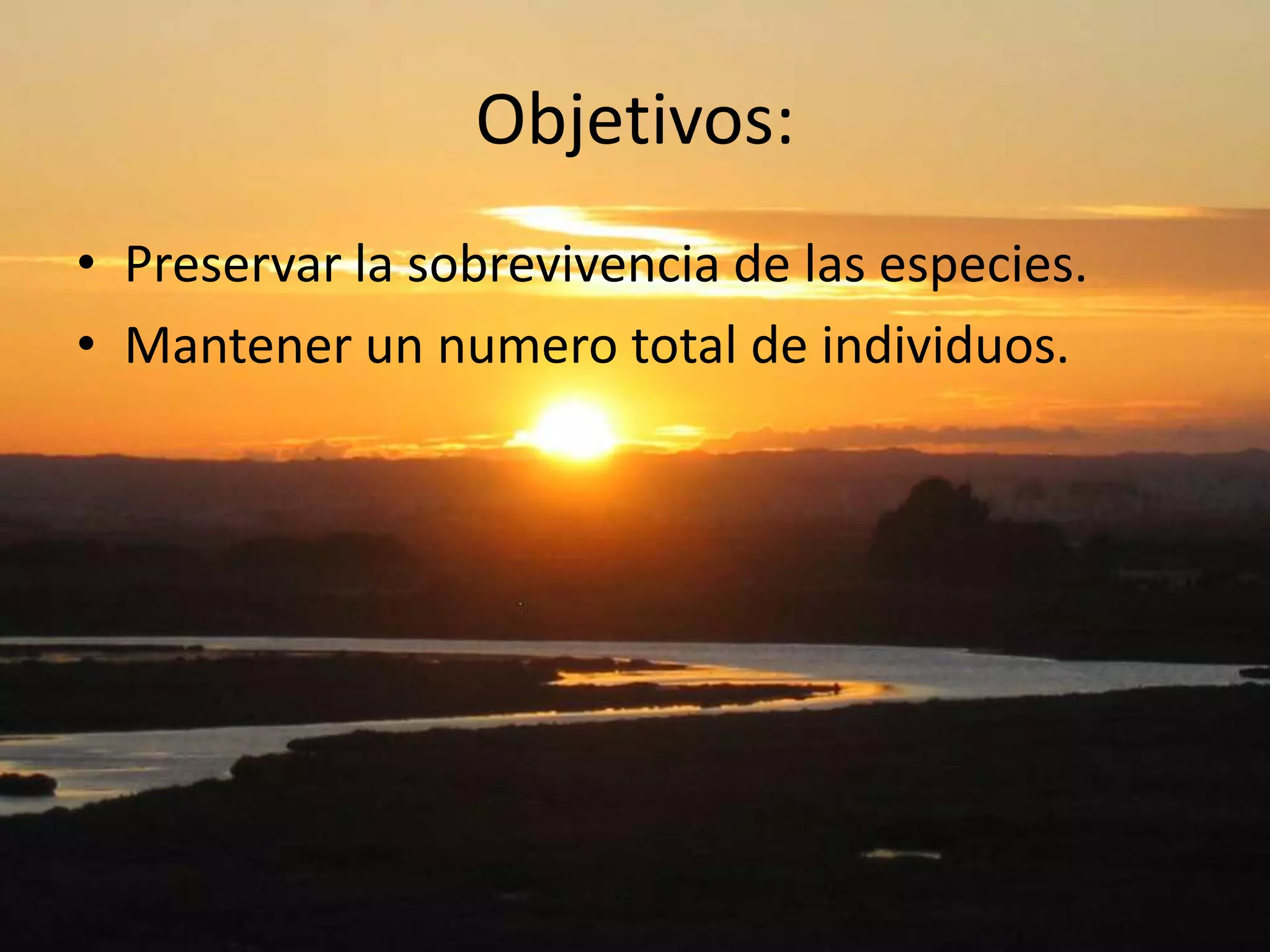 Ciclo de vida | PPTX
