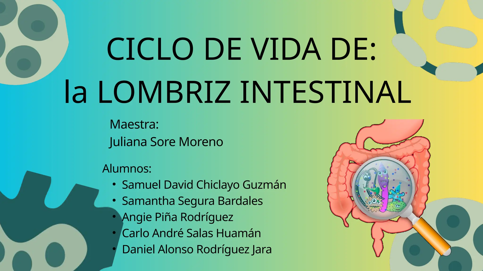 CICLO DE VIDA DE LA LOMBRIZ INTESTINAL.pptx