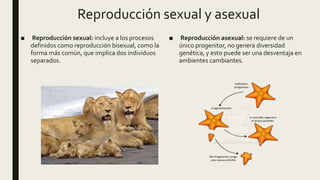 Ciclo de vida de los animales | PPTX