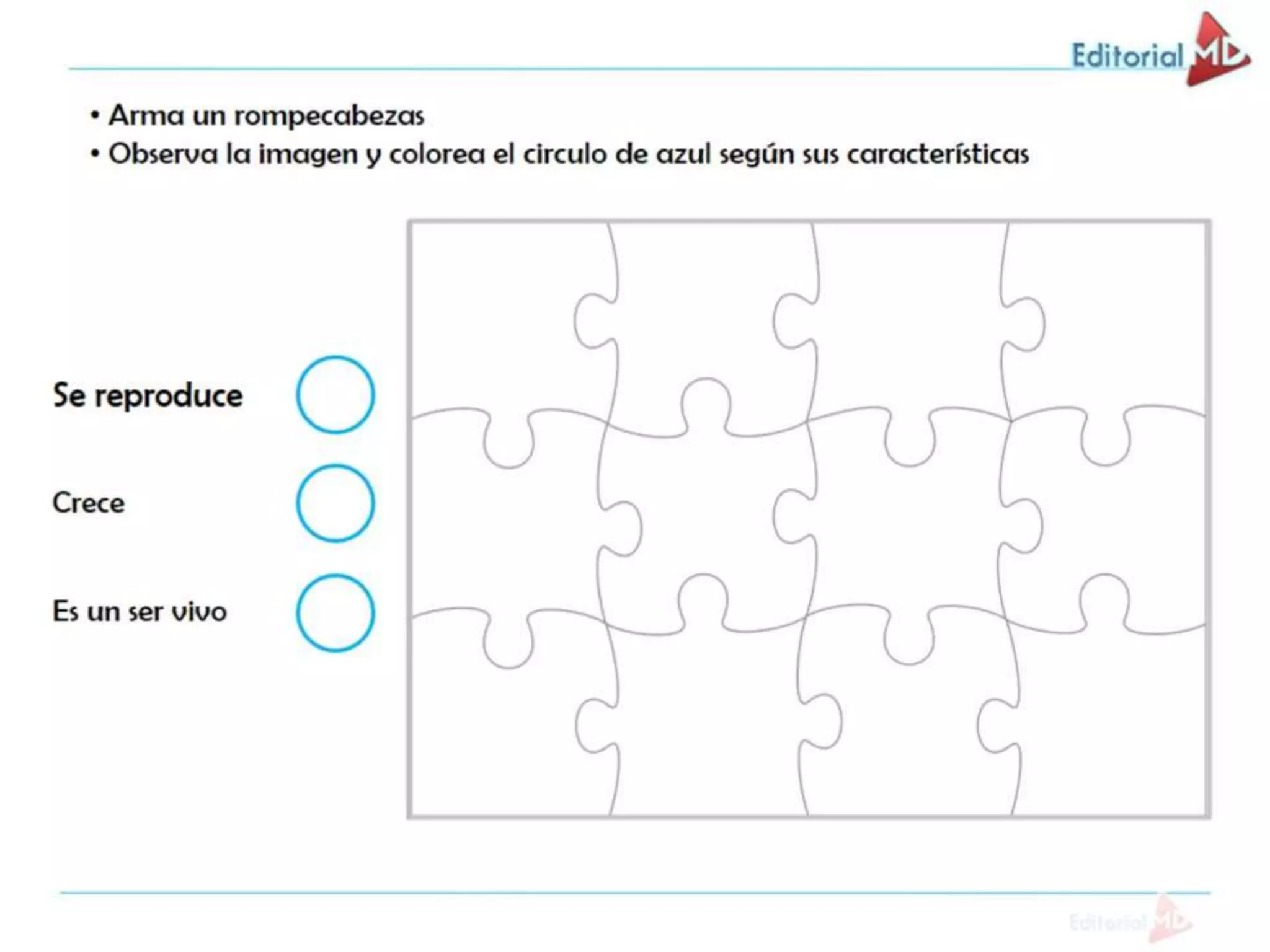 Ciclo de vida de los seres vivos | PDF