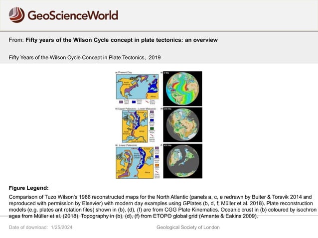 Ciclo de Wilson Figure.ppt