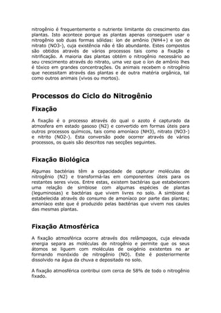 Ciclo Do NitrogêNio | DOC
