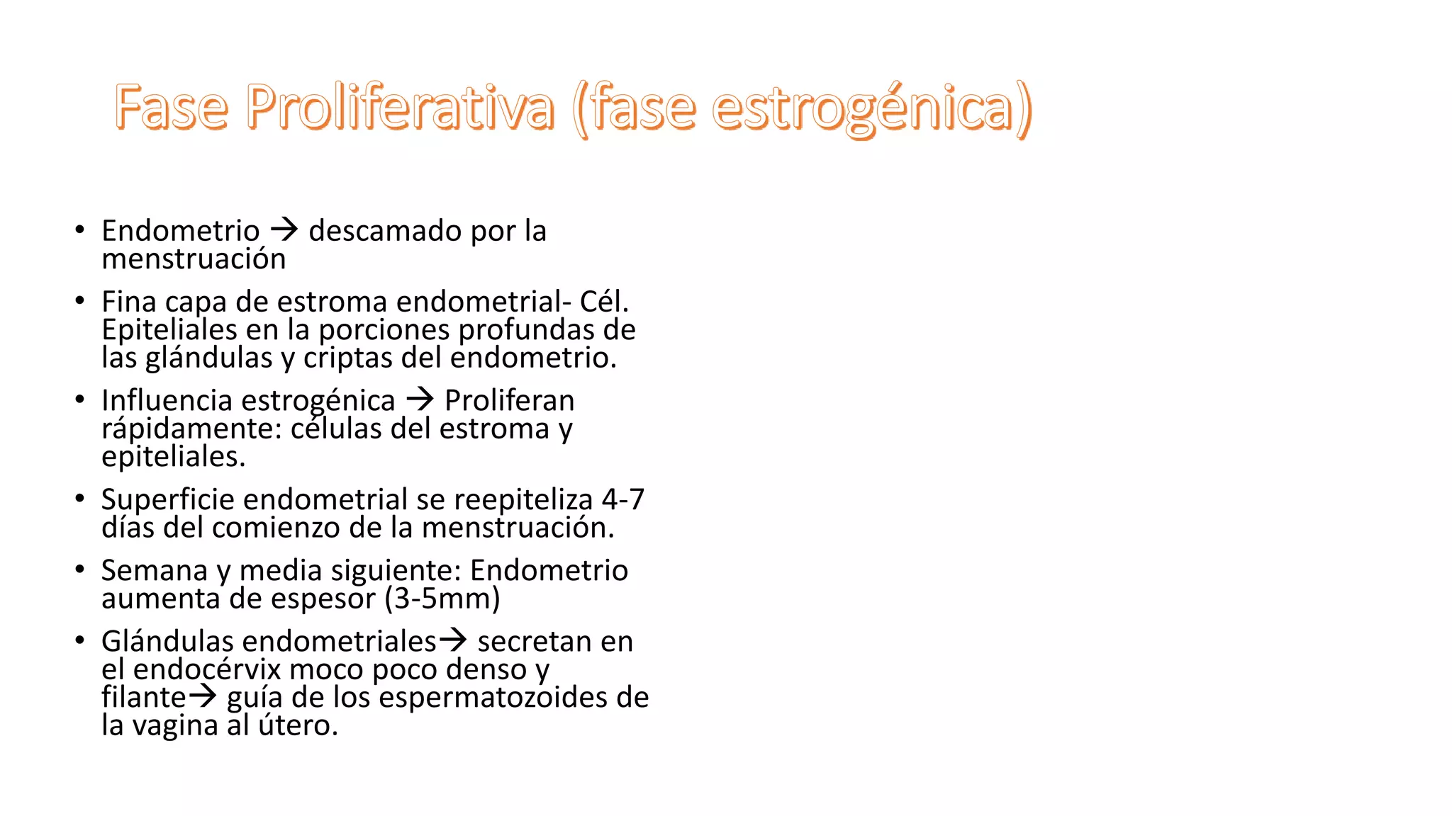 Ciclo endometrial mensual y menstruación.pptx