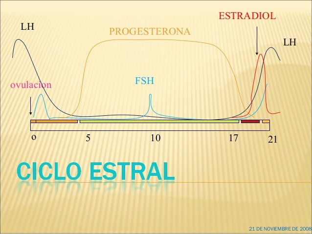 Inducción Ciclo estral