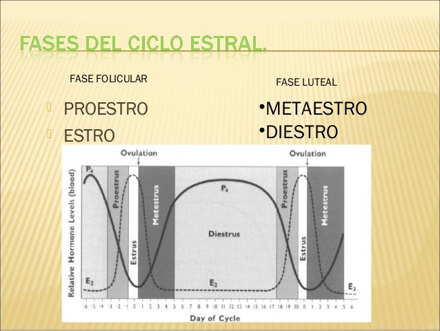 Inducción Ciclo estral