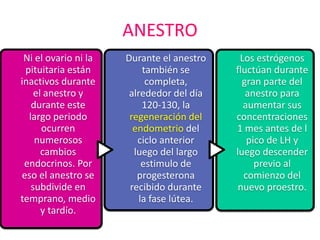 Ciclo estral de la perra | PPTX