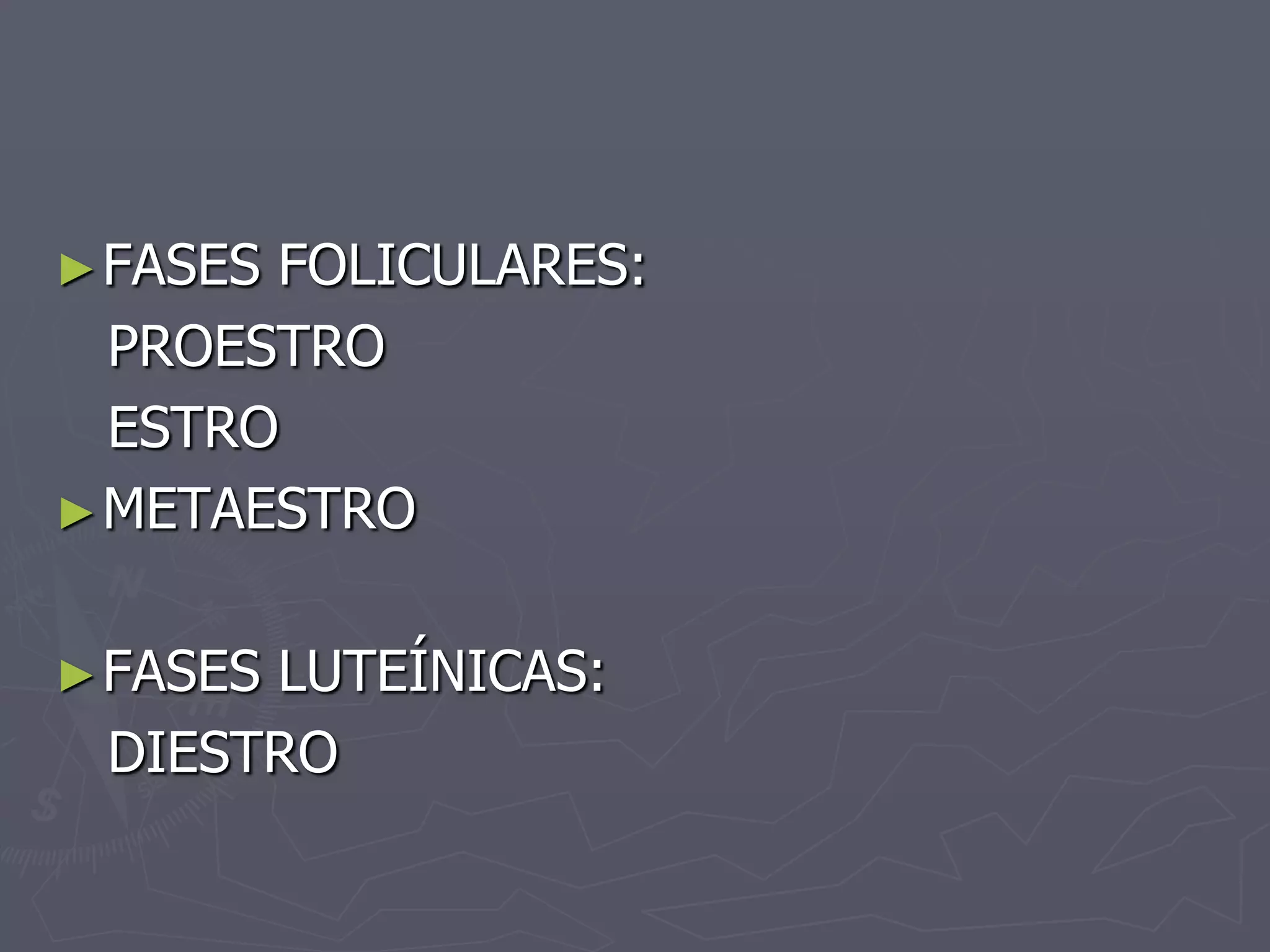Ciclo estral de la vaca | PPTX