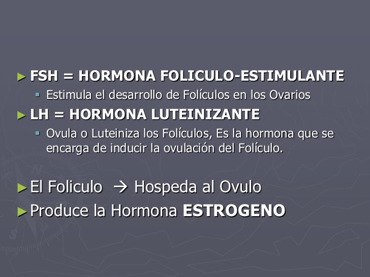 Ciclo estral de la vaca