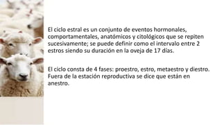 CICLO ESTRAL EN OVINOS, fisiologia de la reproduucion..pptx