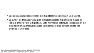 Ciclo genital femenino y amenorreas.pptx