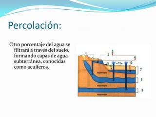 Percolación Del Ciclo Del Agua