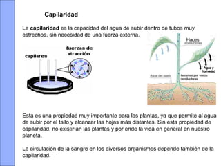 Ciclo hidrologico | PPT