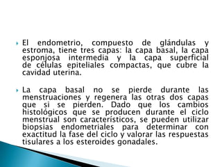 Ciclo menstrual | PPTX