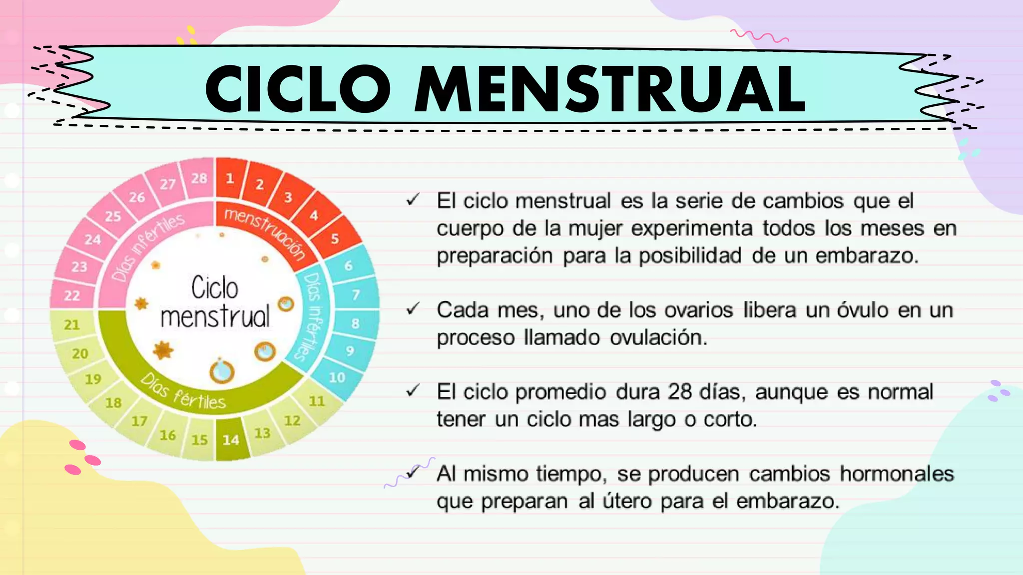 ciclo menstrual.pptx