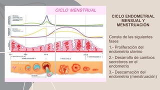 pRESENTACION DE CICLO MENSTRUAL O CICLO OVARICO | PPTX