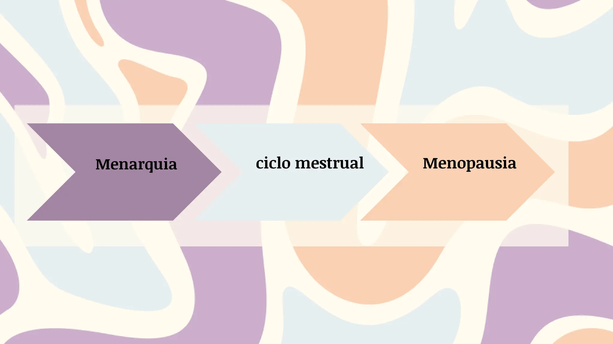 Ciclo menstrual de la mujer123.......pdf