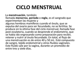 CICLO MENSTRUAL regla periodo menstrual ciclo ovarico | PPT