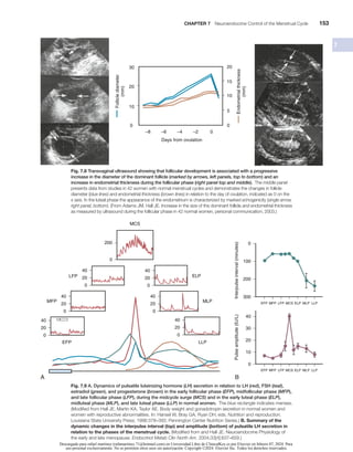 CICLO MENSTRUAL 2024.pdf | Hormonal Disorders | Endocrine and Metabolic ...