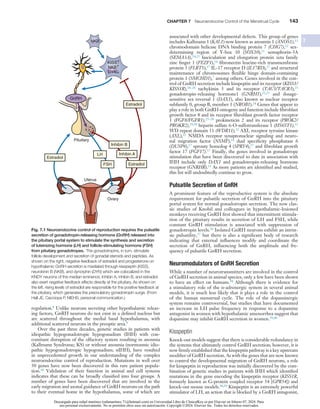CICLO MENSTRUAL 2024.pdf