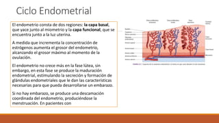 Ciclo menstrual, cambios puberales y fertilidad | PPTX