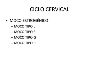 Ciclo menstrual | PPTX