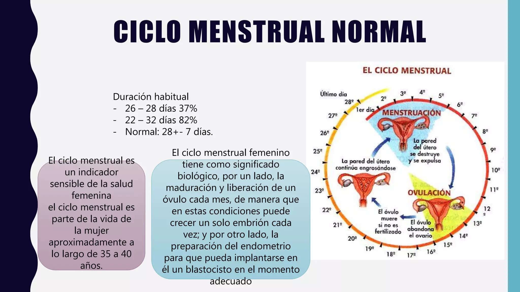 Ciclo menstrual normal - presentacion.pptx
