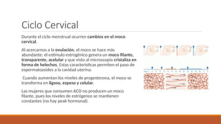 Ciclo Menstrual Williams 2E.pptx resumen | PPTX