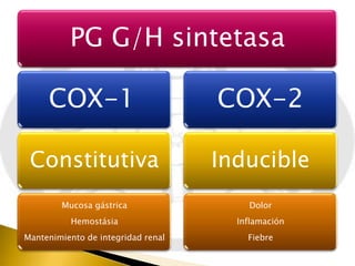 Ciclooxigenasa | PPTX
