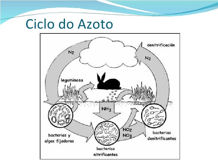 Ciclos Bio Geo Qui