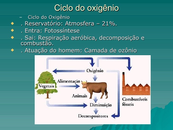 Ciclos BiogeoquíMicos