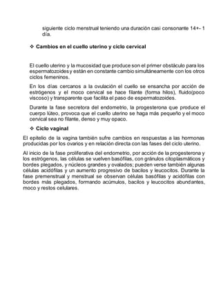Ciclos femeninos | DOCX