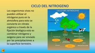 Ciclos Biogeoquímicos | PPTX