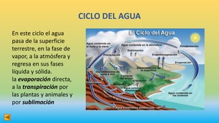 Ciclos Biogeoquímicos | PPTX