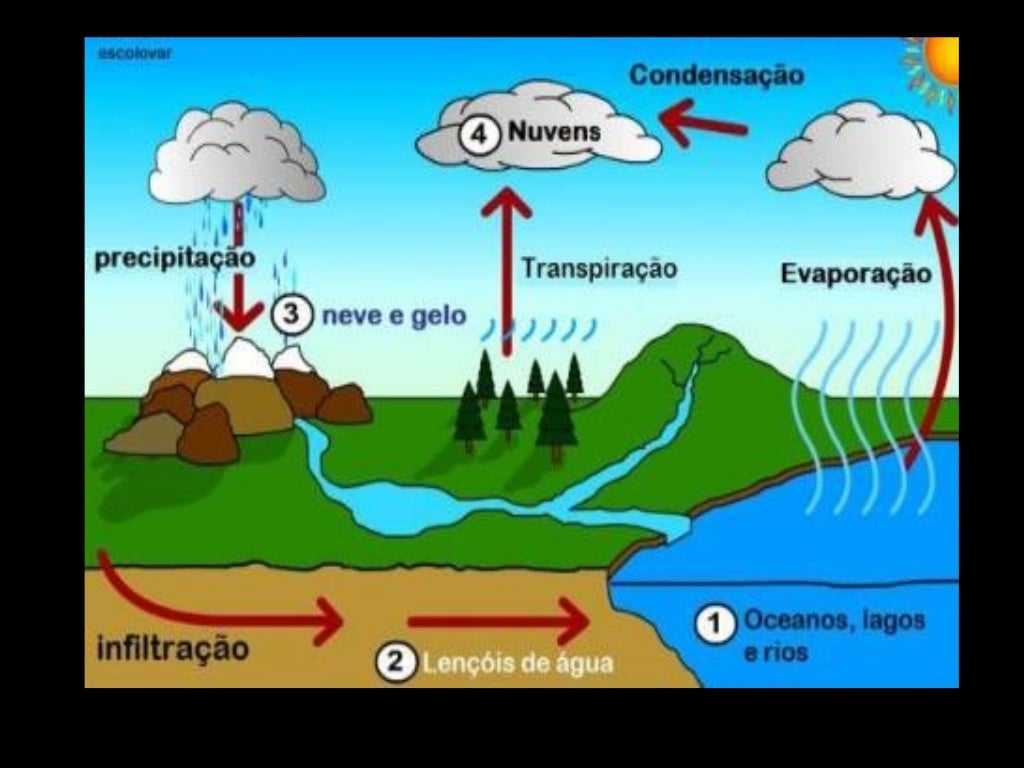 Esquema De Los Ciclos Biogeoquimicos Fotos Guia 2021 Images