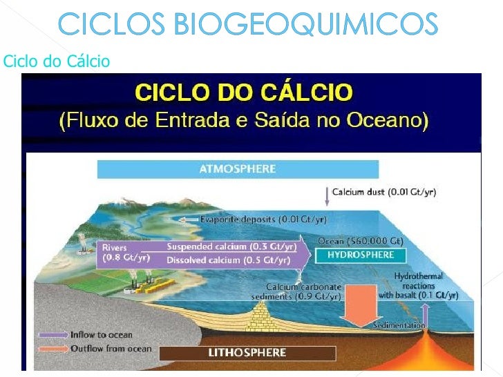 Ciclos biogeoquímicos