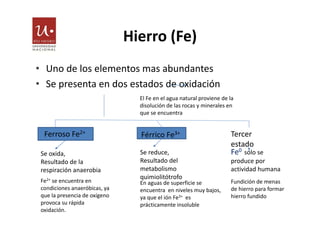Ciclos Biogeoquímicos Biorremediación (2).pdf