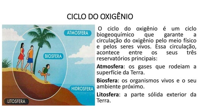 Ciclos biogeoquímicos e ciclo do oxigenio(minha) | PPT