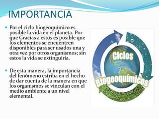 impacto amplitud El aparato todo sobre los ciclos biogeoquimicos Desmantelar Ardilla Posesión