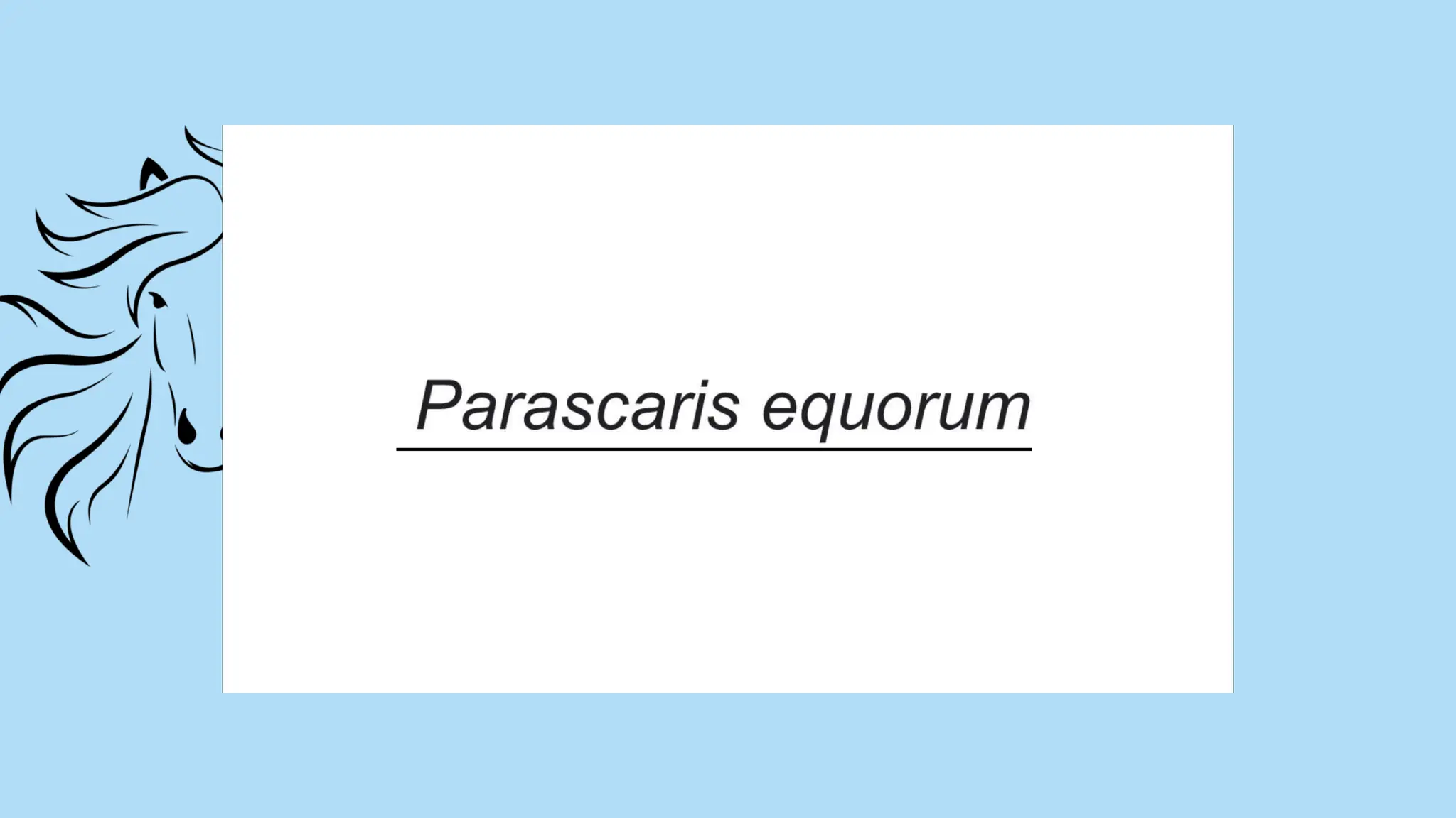 ciclos biologicos de parascaris equorum y ascaris suum | PPTX