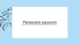 ciclos biologicos de parascaris equorum y ascaris suum | PPTX