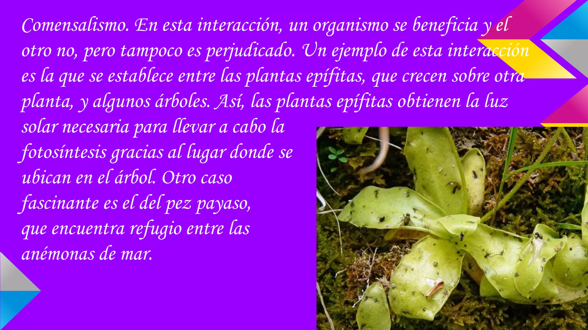 Ciclos de la naturaleza. | PPT