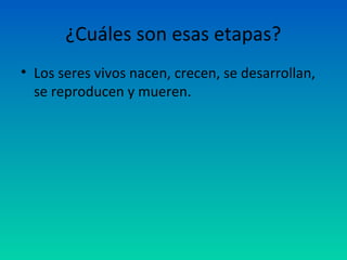 Ciclos de vida de los animales. | PPT