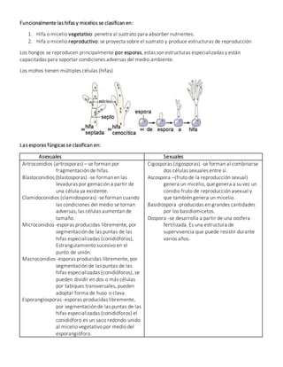 Ciclos de vida hongos parásitos | DOCX